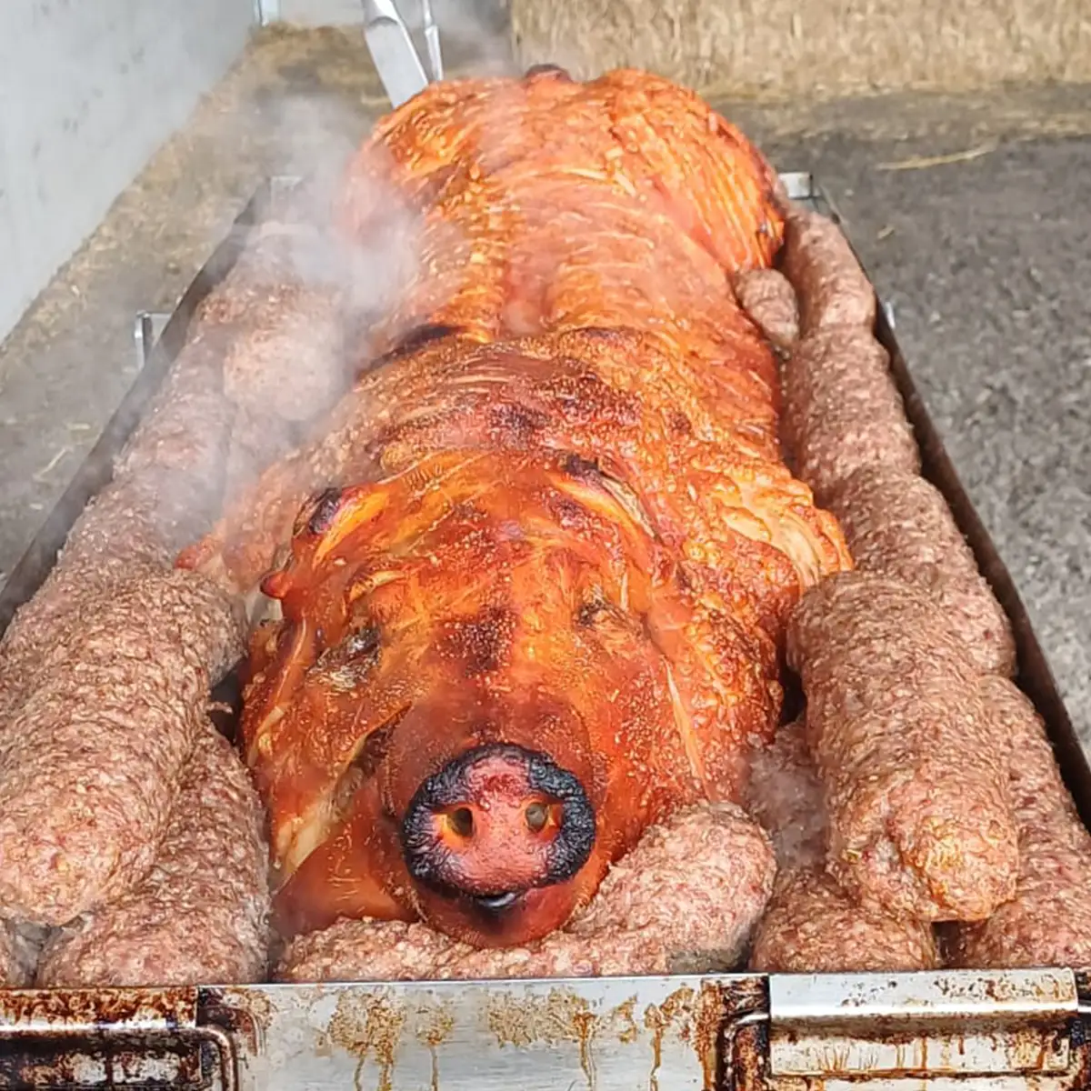 Rare Breed Pig Hog Roast - Hog Roast Direct